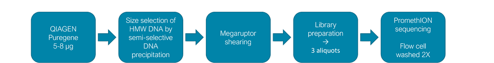 High output, long read sequencing from human blood