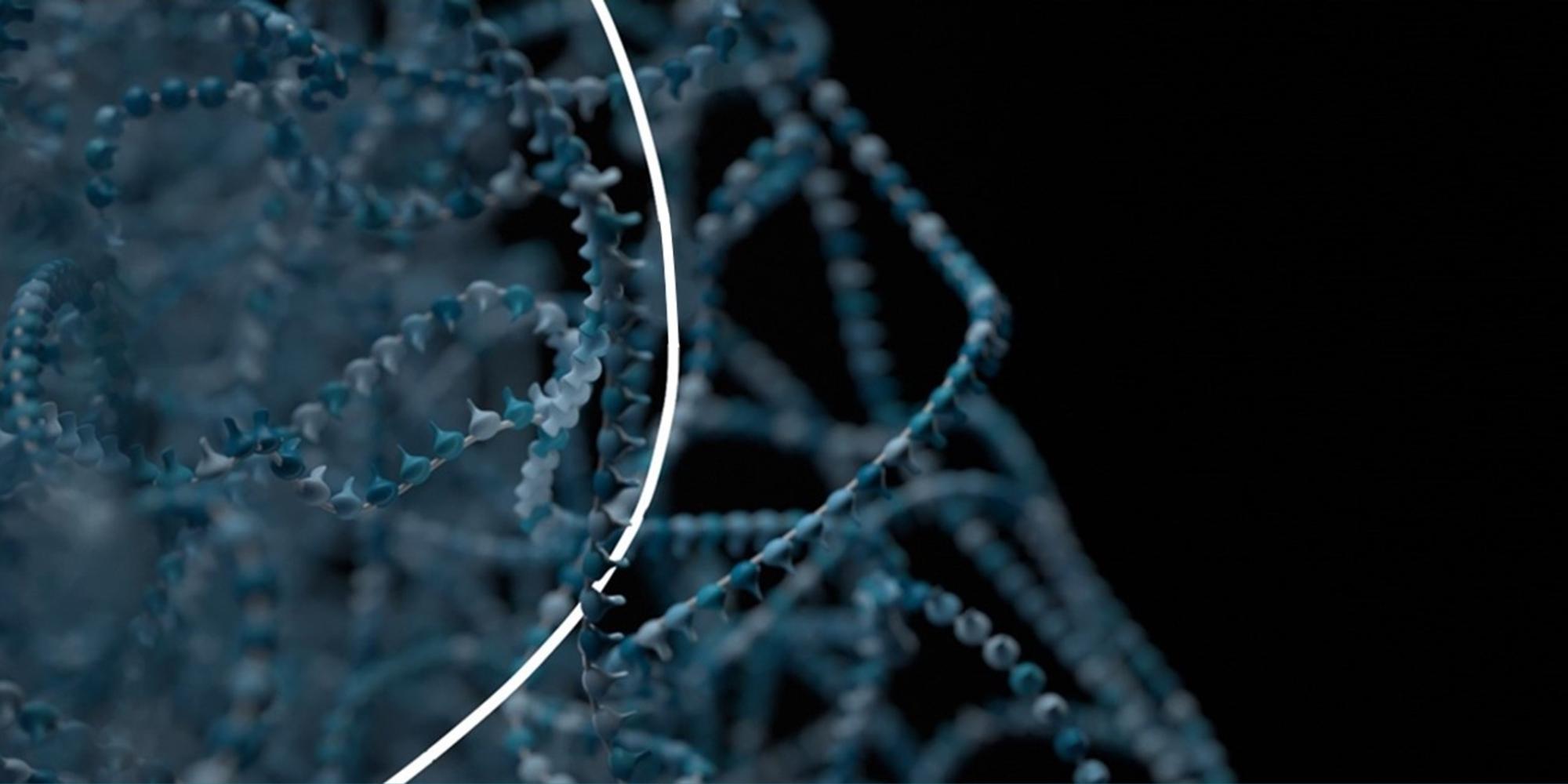 NCM 2022: Rapid structural variant calling across AllOfUs using Oxford ...