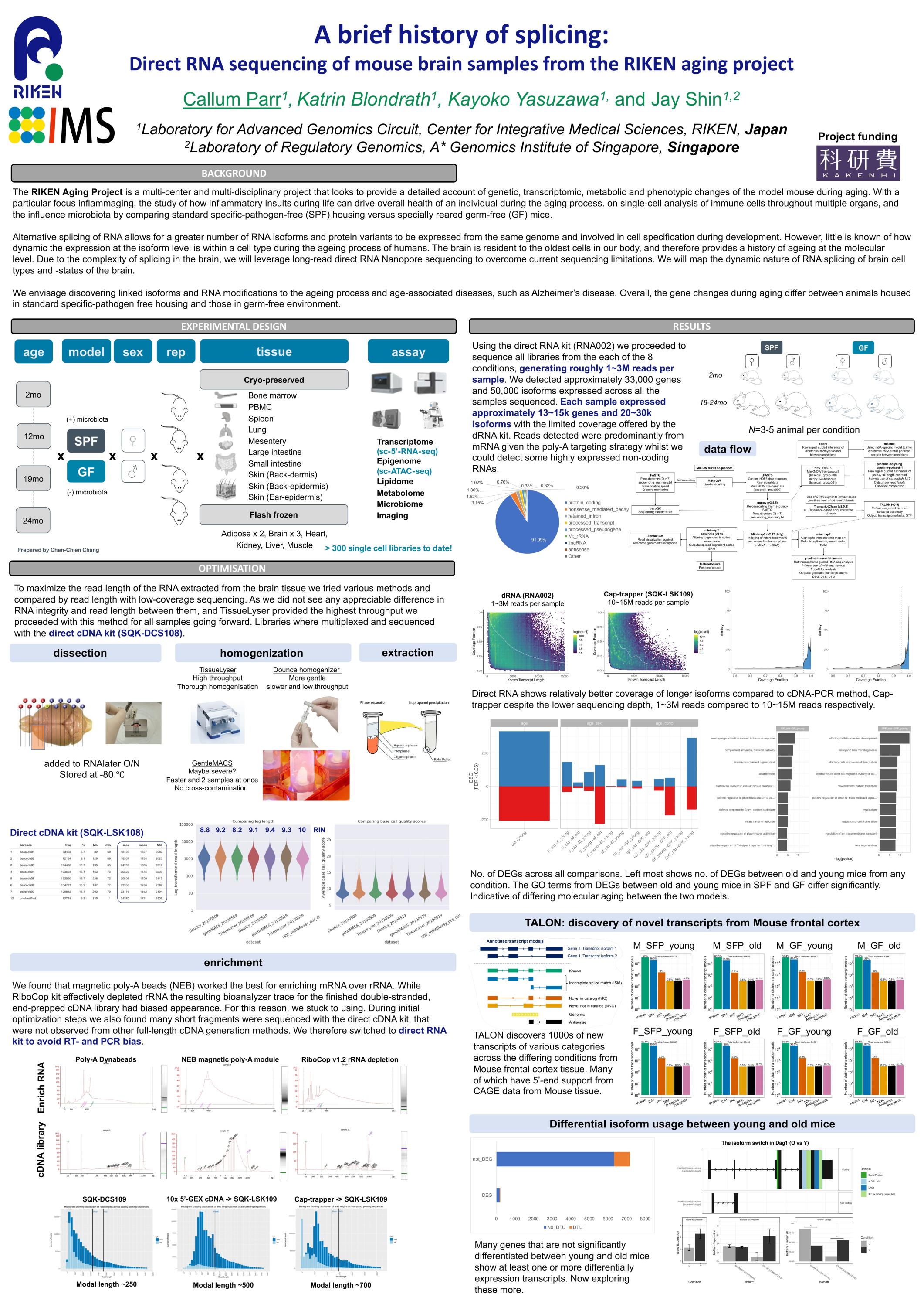 NCM 2022: Direct RNA sequencing of mouse brain samples from the RIKEN ...