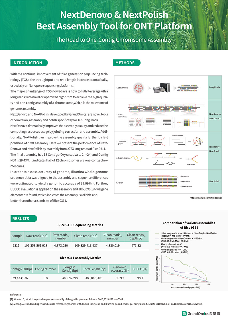 NextDenovo & NextPolish - Best Assembly Tool for ONT Platform The Road ...