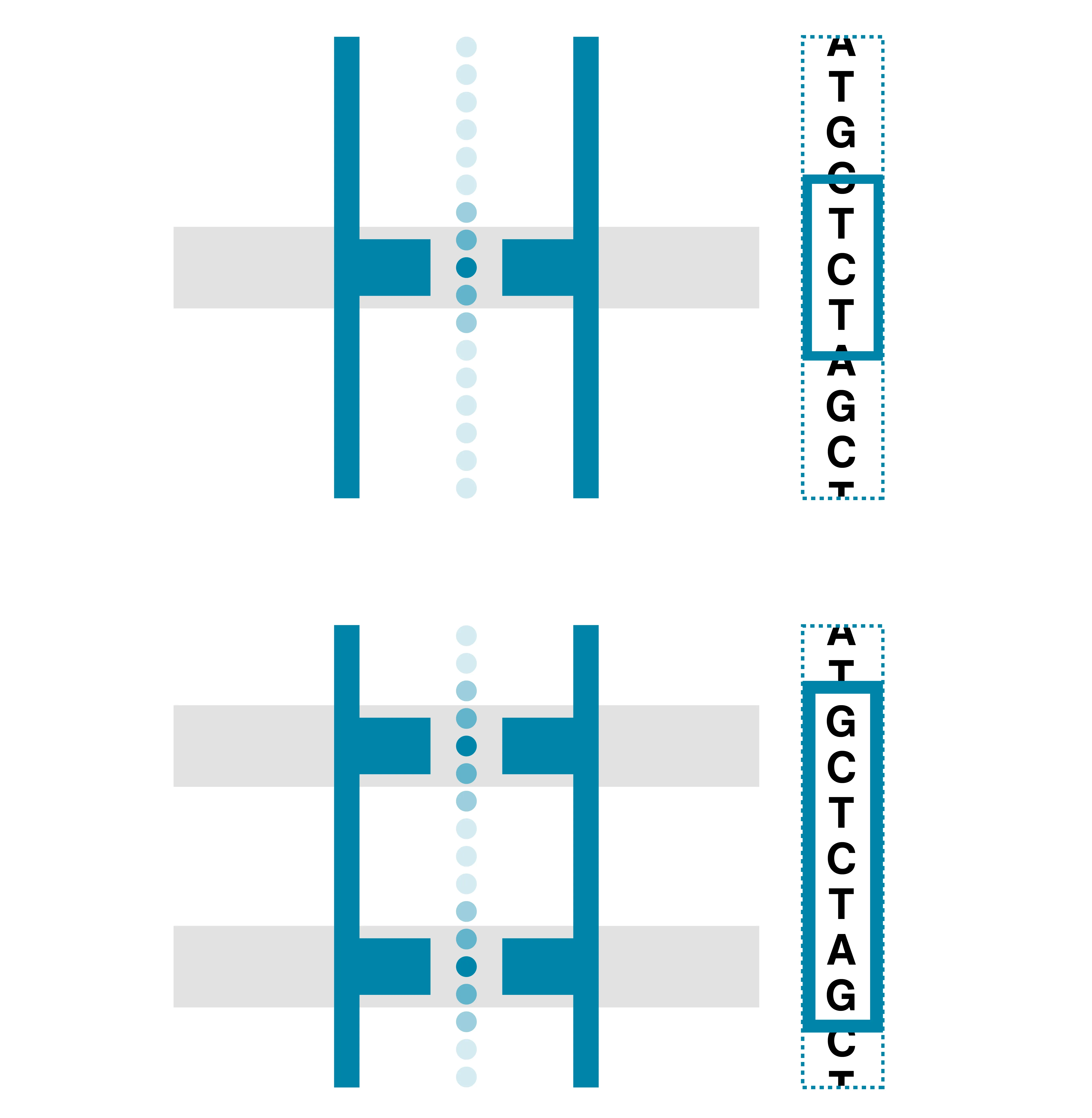 How basecalling works | Oxford Nanopore Technologies