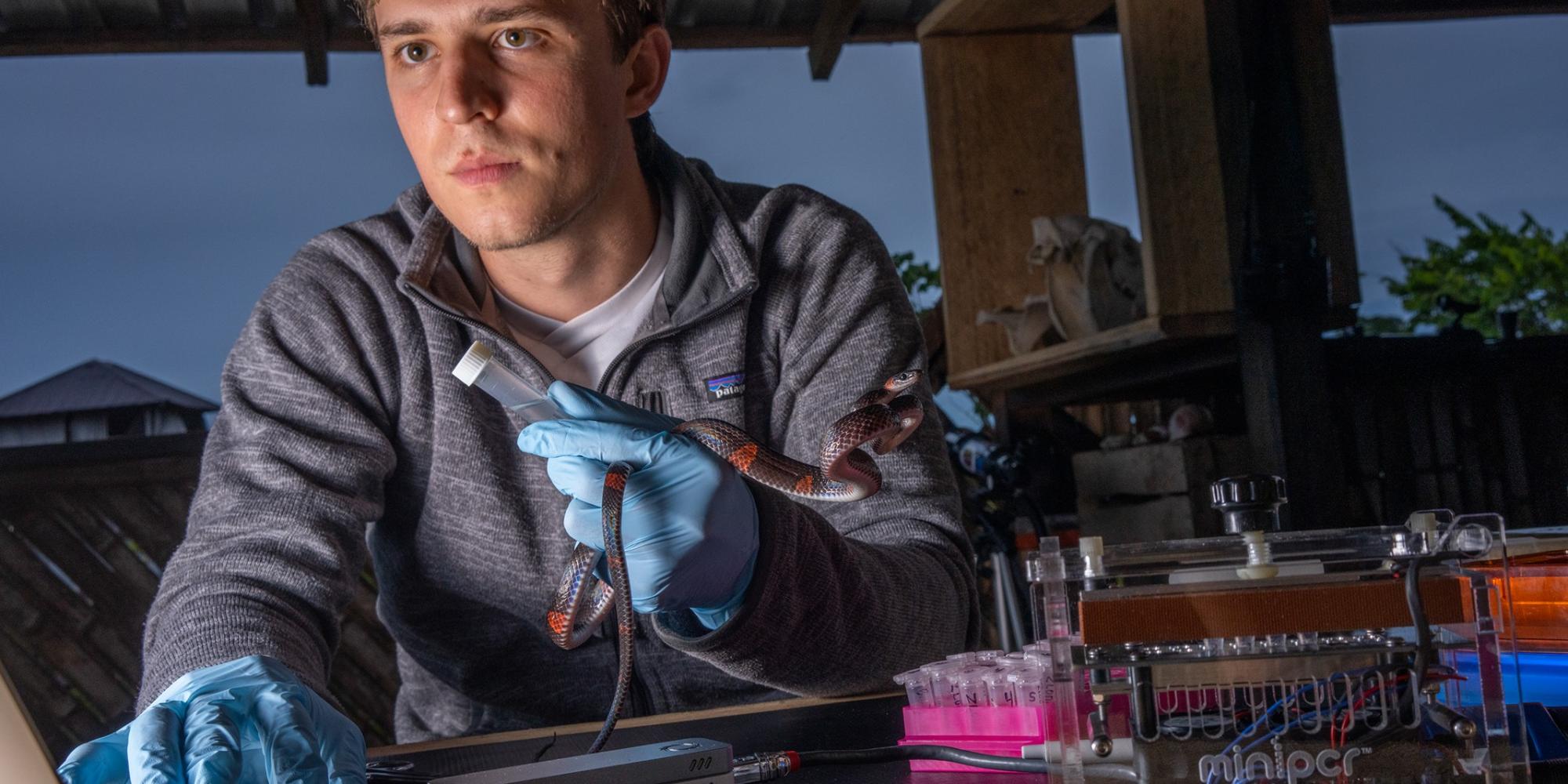 Flongle sequencing reveals cryptic amphibian diversity and builds local ...