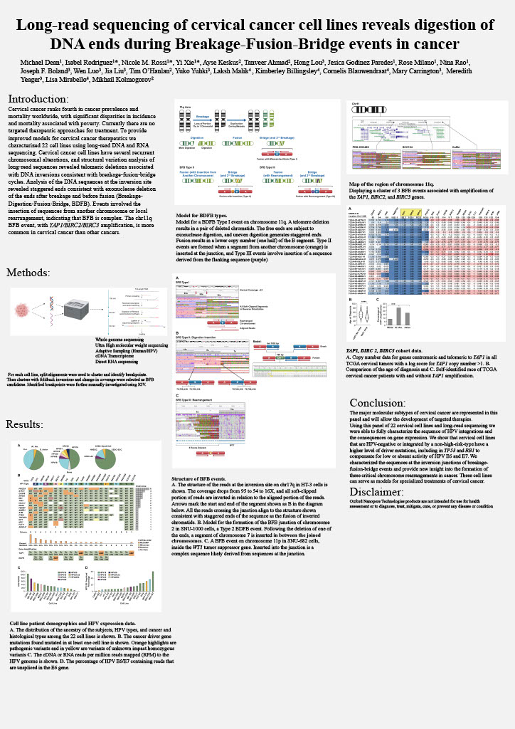 Long-read sequencing of cervical cancer cell lines reveals digestion of ...