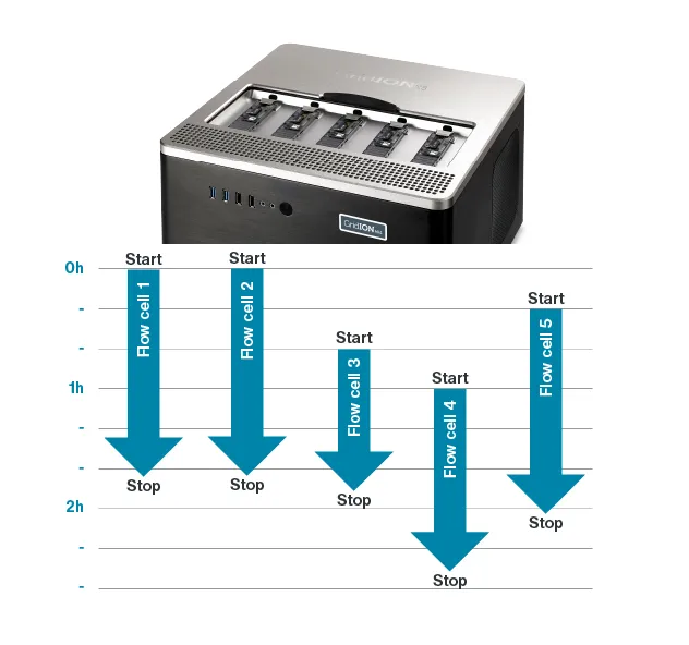 Advantages of nanopore sequencing