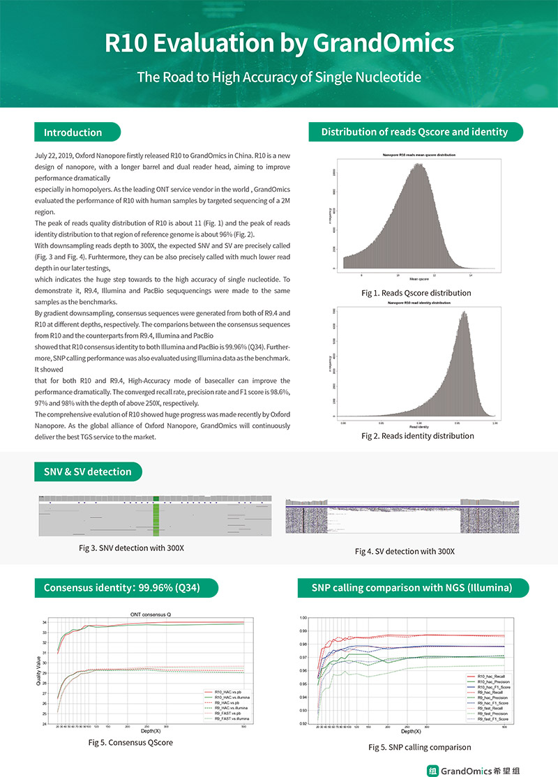 R10 Evaluation by GrandOmics The Road to High Accuracy of Single Nucleotide