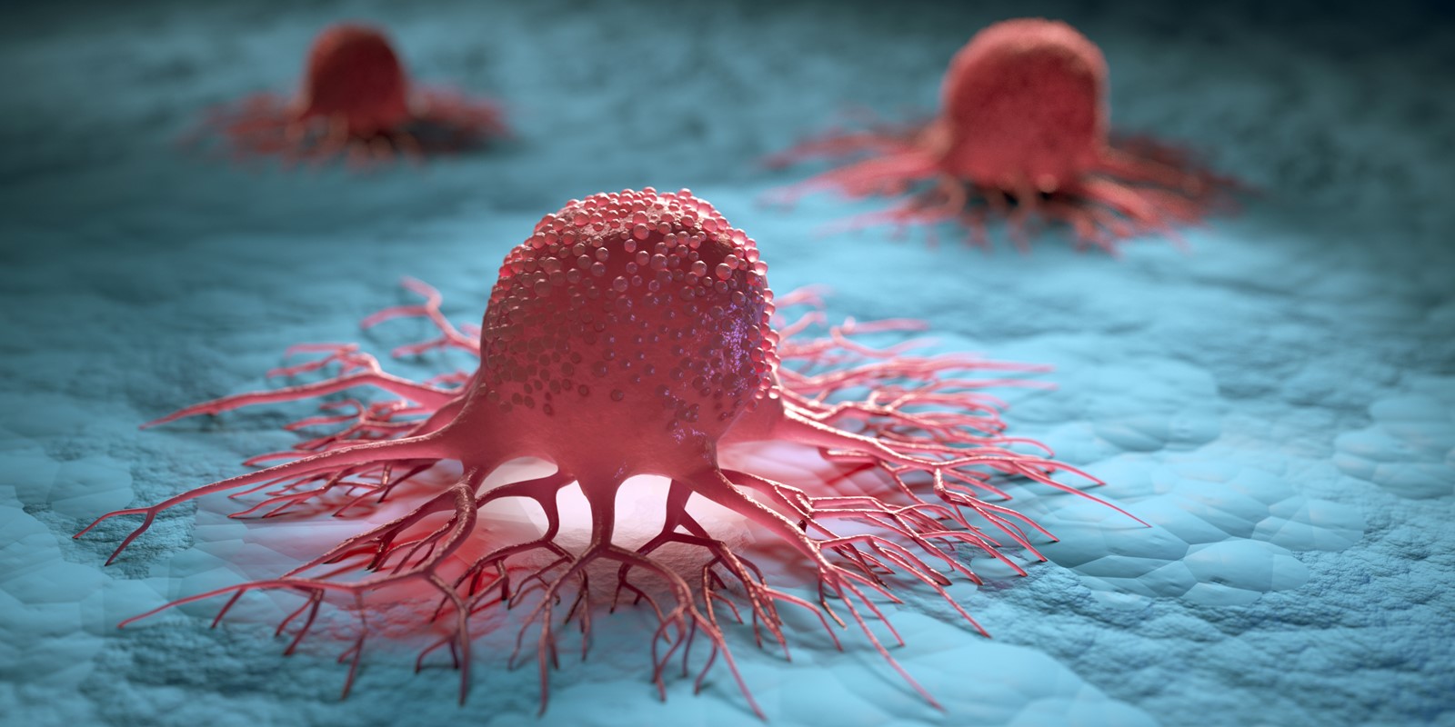 Targeted nanopore sequencing with Cas9 guided adapter ligation