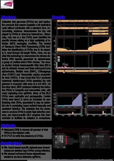 Nanopore Direct Rna Sequencing Revealed The Diverse Defective Viral Genome Species Produced By