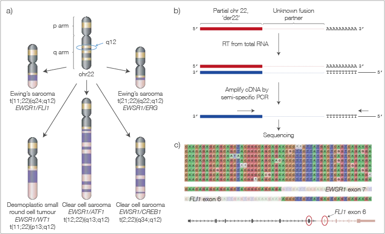 Fusion transcripts | Oxford Nanopore Technologies