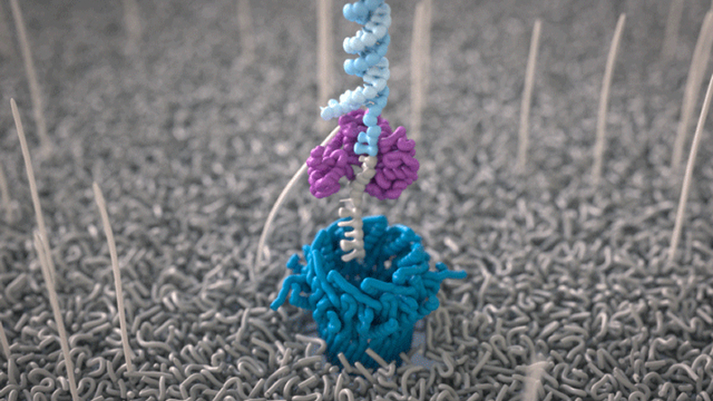 How nanopore sequencing works | Oxford Nanopore Technologies