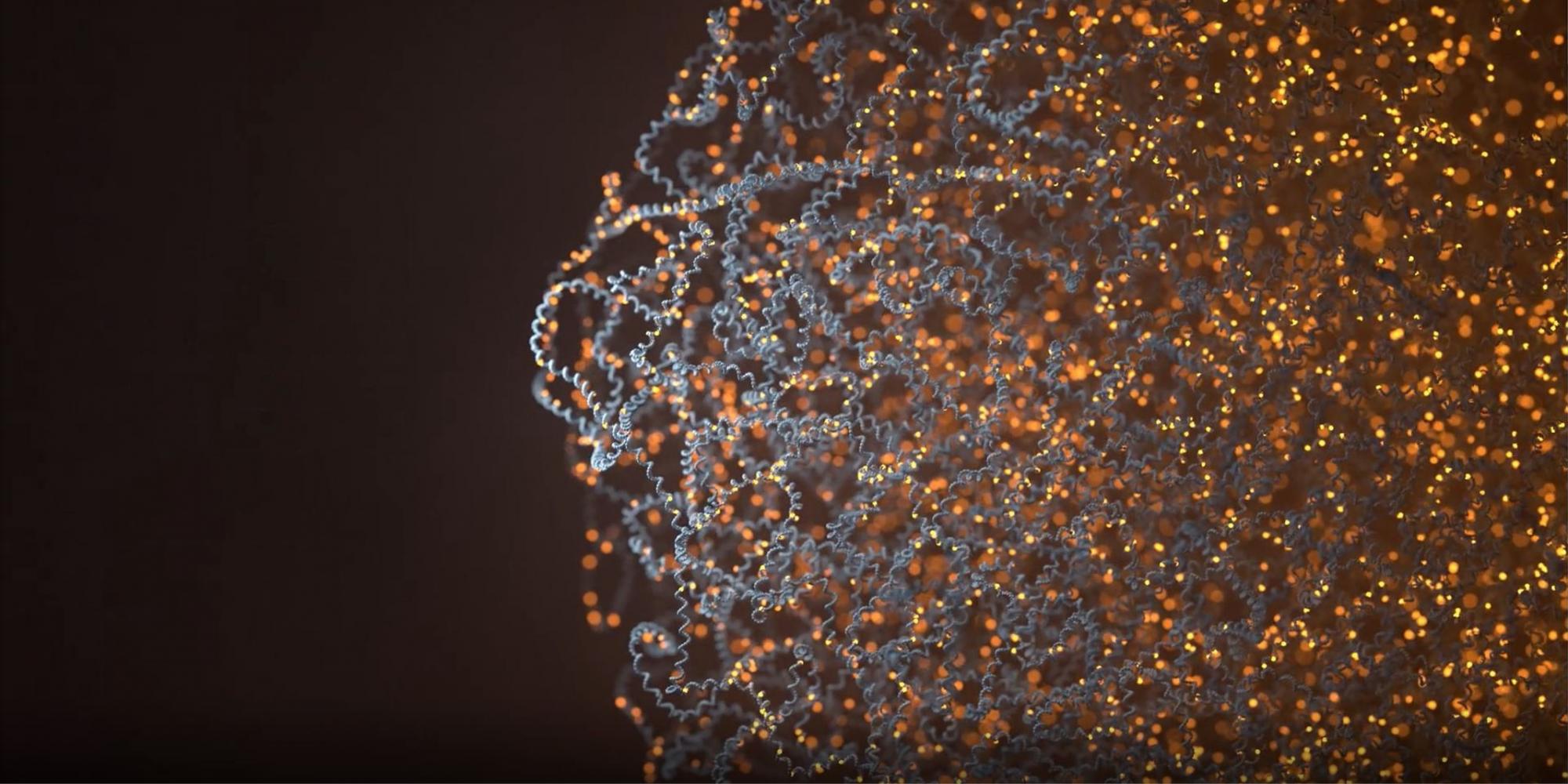 Rna Methylation Detection At Single Molecule Resolution Uncovers Isoform Specific Modifications