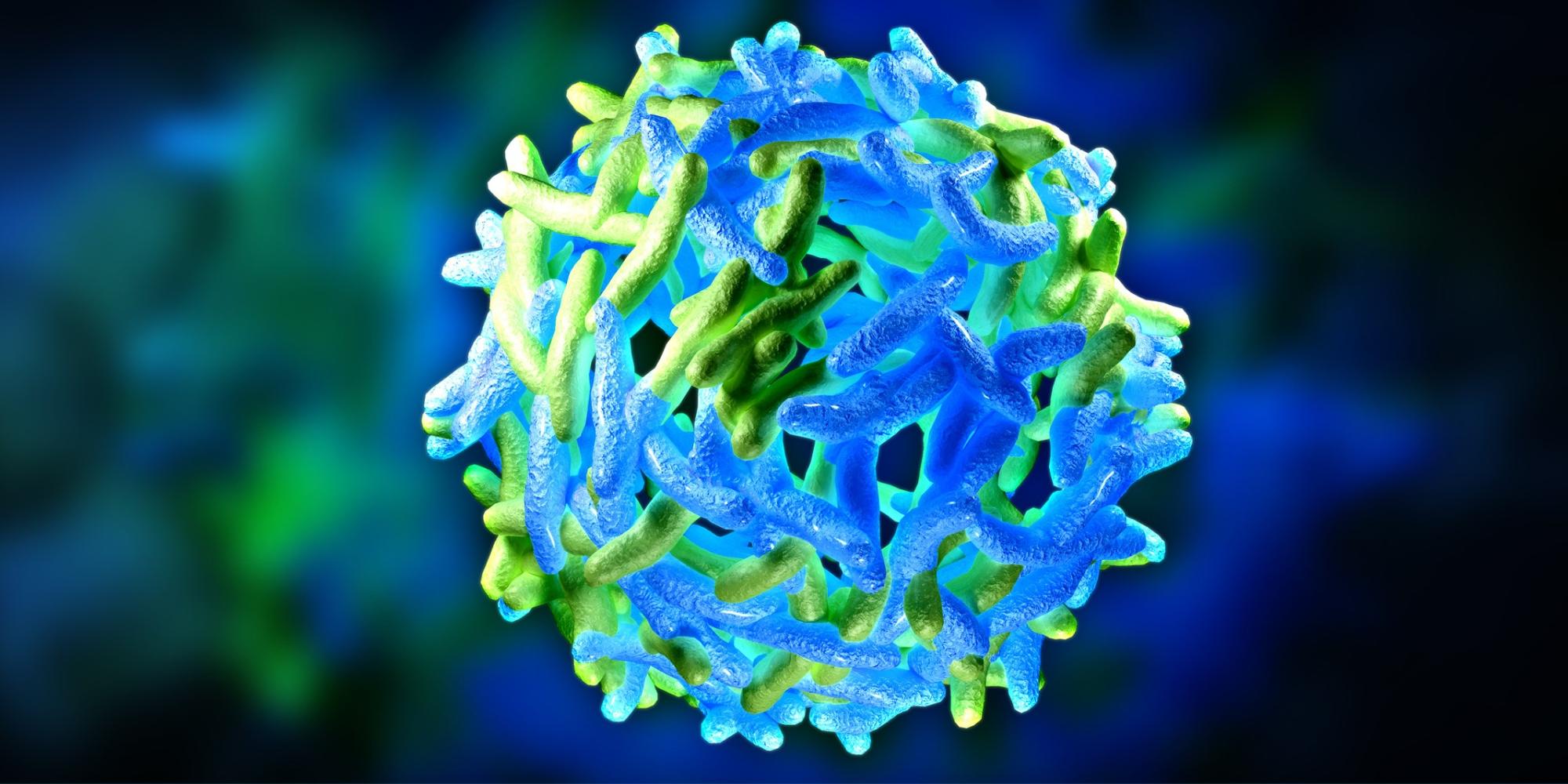 NCM 2022: Genomic investigation into yellow fever virus spread at the ...