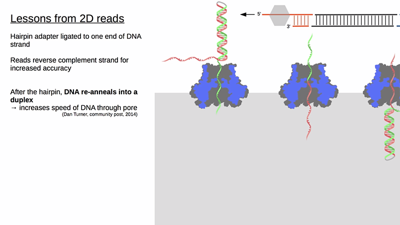 Sequencing of Structure-forming Microsatellite Repeats