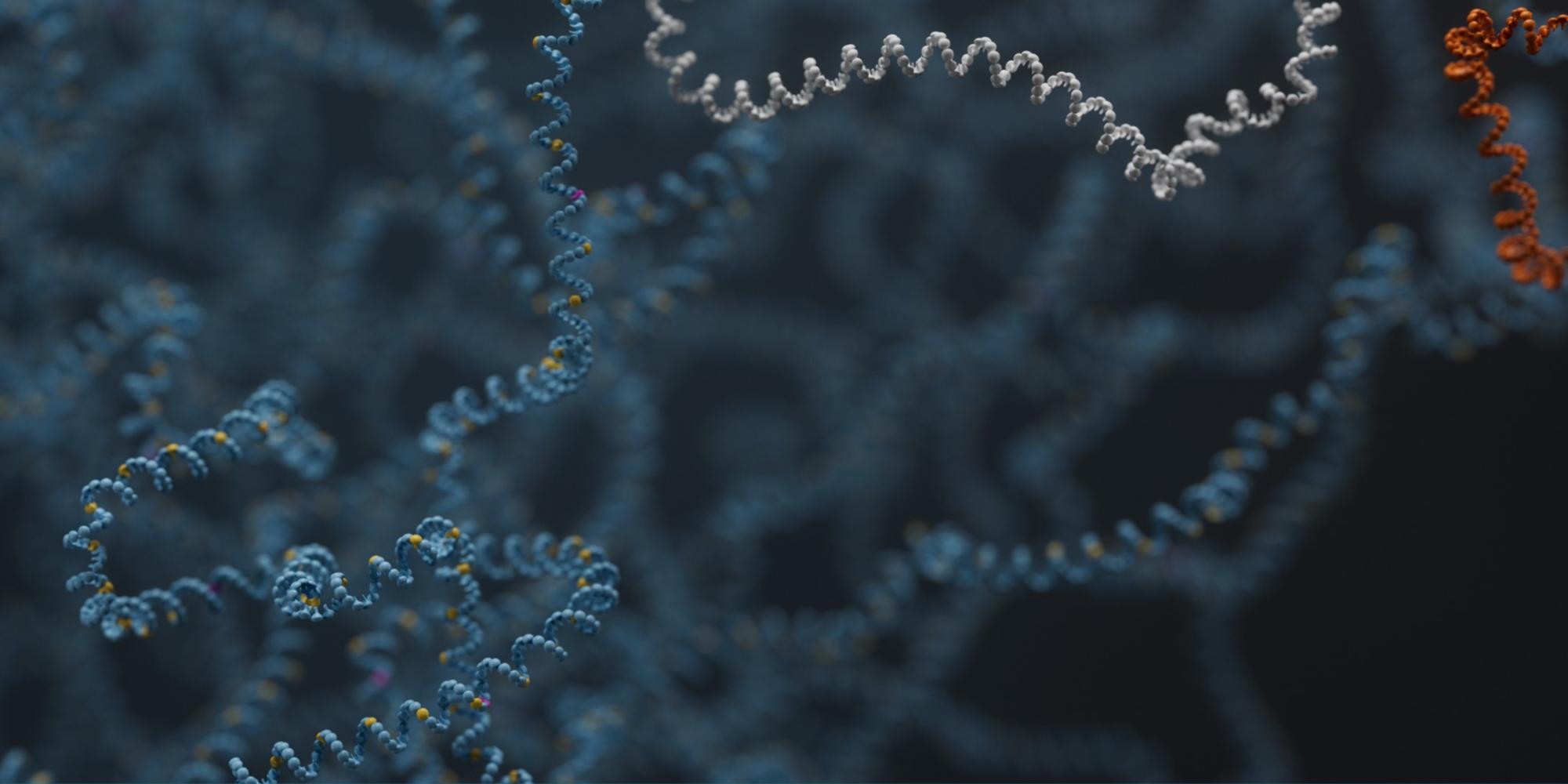 Ncm 2022 Long Read Sequencing Resolves Complex Structural Variants And Identifies Missing