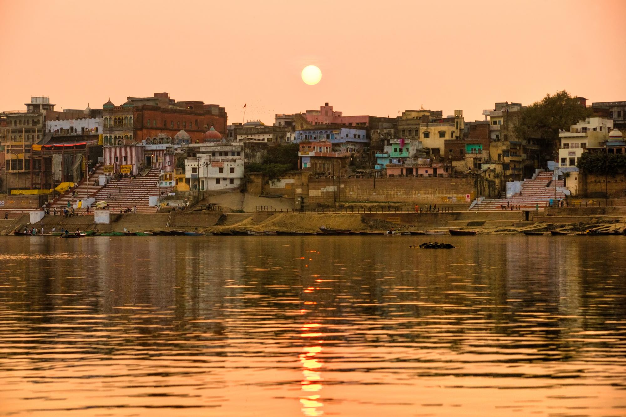 Fungal communities (Mycobiome) as potential ecological indicators ...