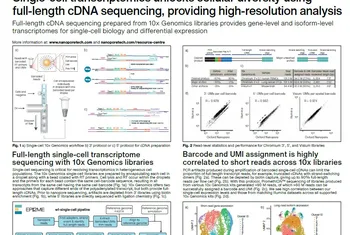 Single-cell sequencing | Oxford Nanopore Technologies