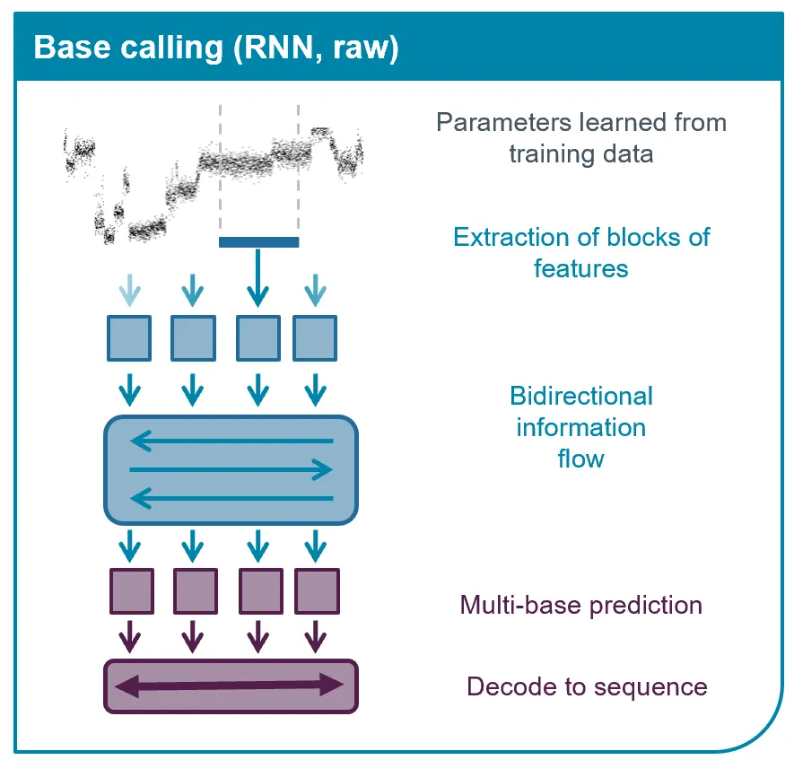 How basecalling works | Oxford Nanopore Technologies