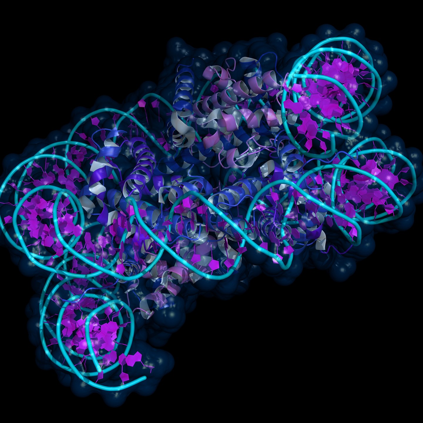 London Calling 2023: scNanoATAC-seq: a long-read single-cell assay to simultaneously detect ...