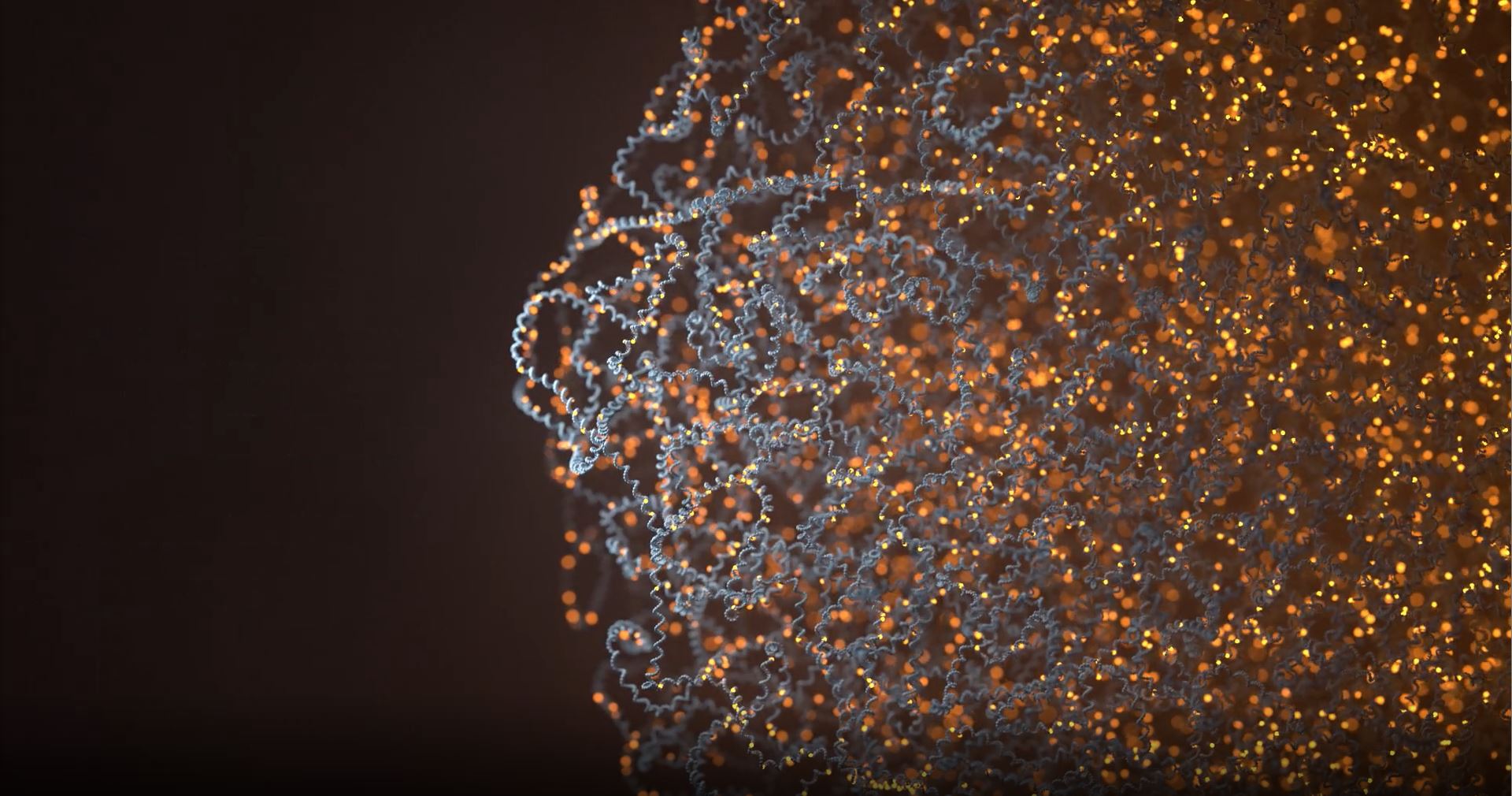 Methylation Detection With Nanopore Sequencing Reduced Representation Methylation Sequencing Rrms