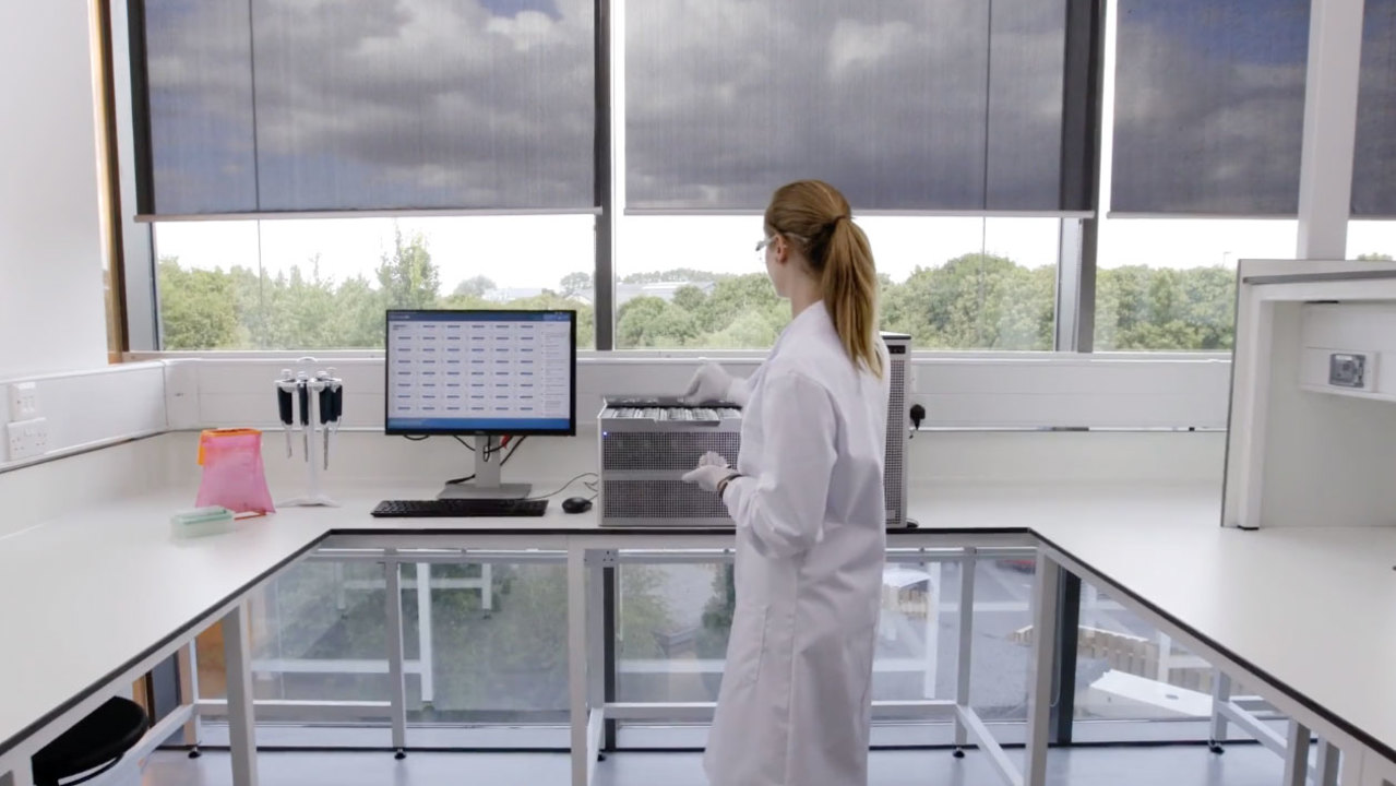 An introduction to nanopore sequencing