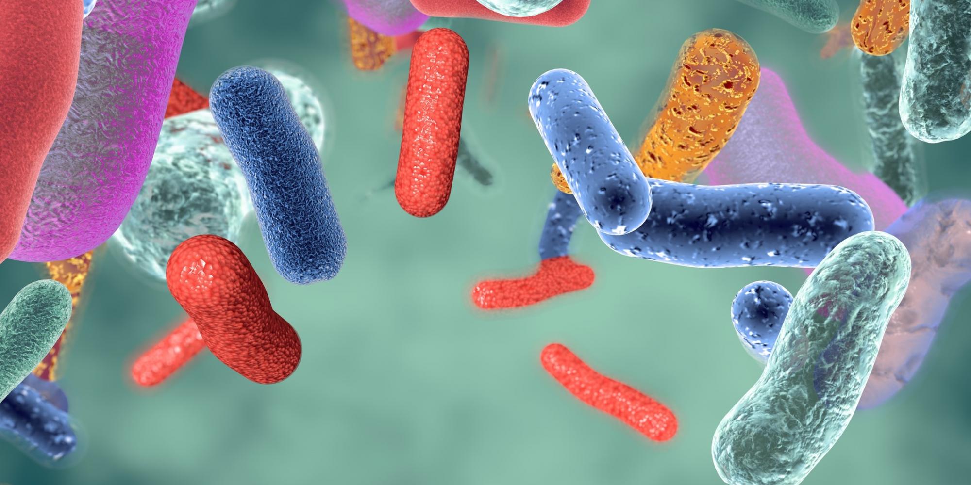 Point-of-care, real-time, metagenomics-based pathogen genome detection ...