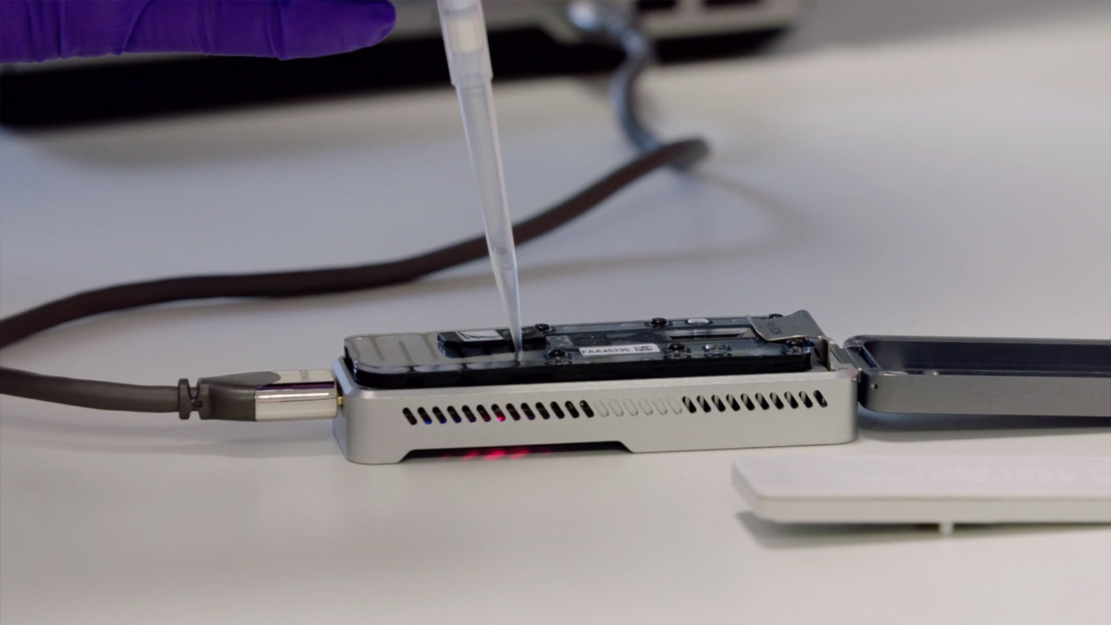 Use of Unamplified RNA/cDNA–Hybrid Nanopore Sequencing for Rapid ...