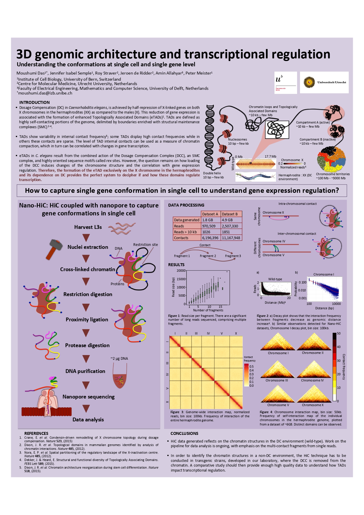 3D genomic architecture and transcriptional regulation