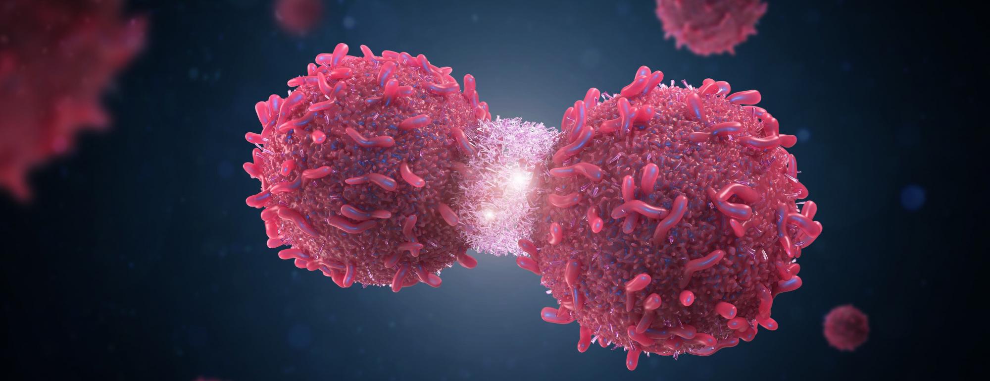 Detection of structural variations and fusion genes in breast cancer ...