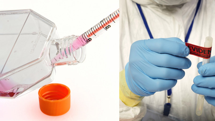 Rapid re-identification of human samples using portable DNA sequencing