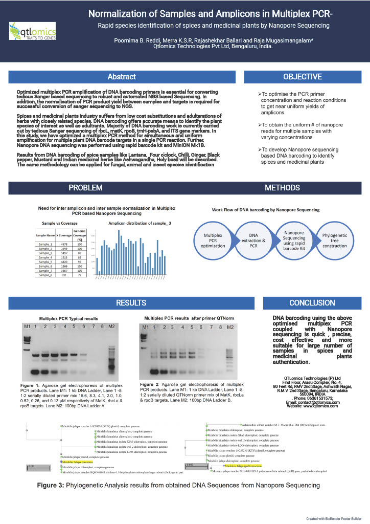 Normalization of samples and amplicons in multiplex PCR