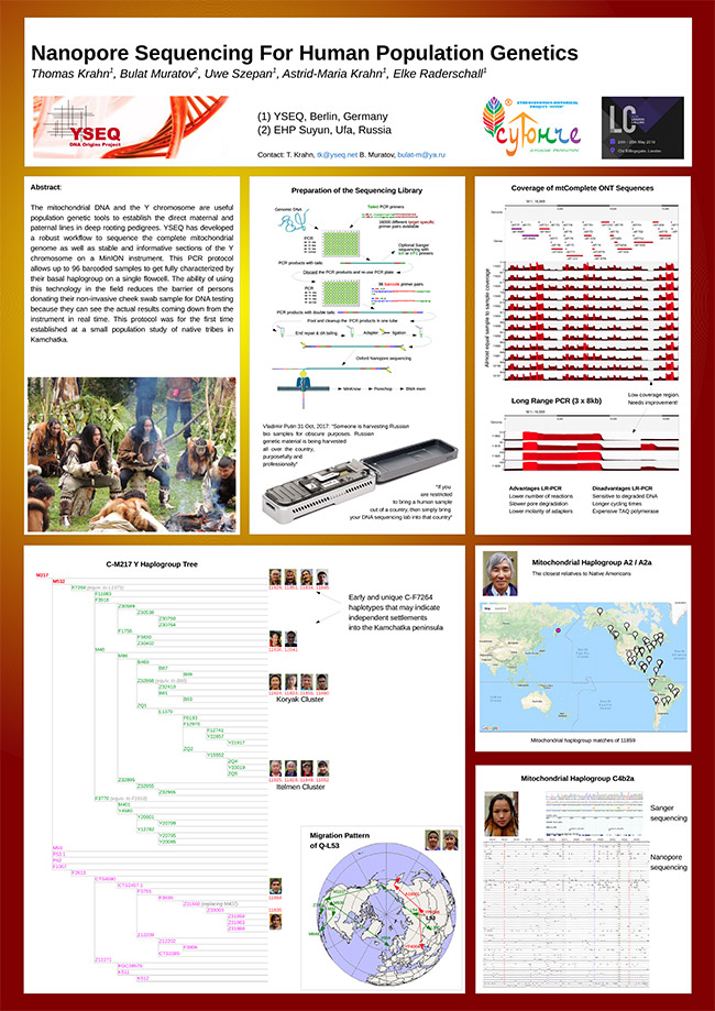 Nanopore Sequencing For Human Population Genetics