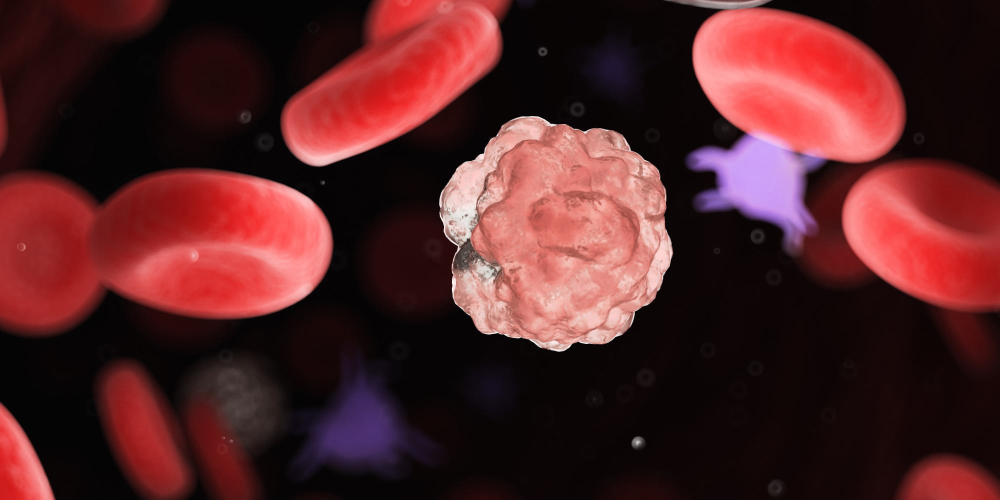 CAR+ and CAR− T cells share a differentiation trajectory into an NK ...