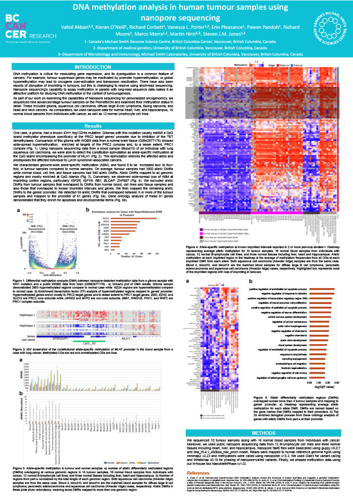 Dna Methylation Analysis In Human Tumour Samples Using Nanopore Sequencing