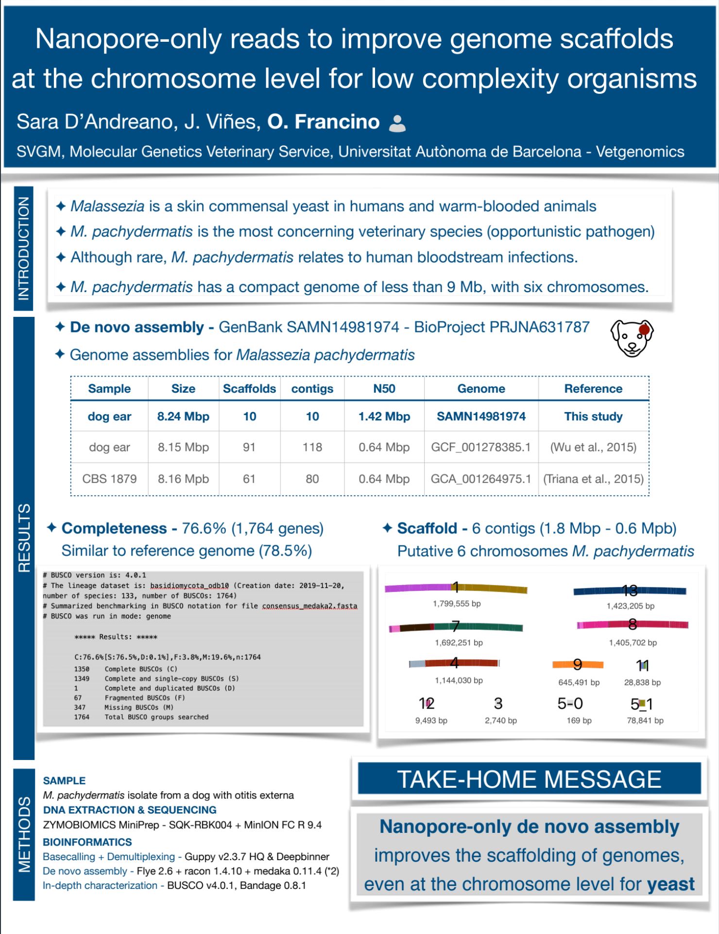 Nanopore-only reads to improve genome scaffolds at the chromosome level ...