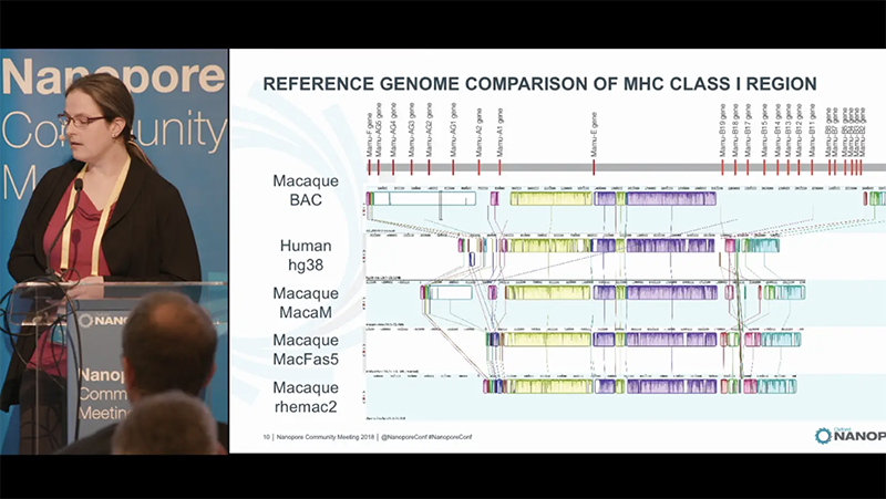 Julie Karl: De novo assembly of an entire Mauritian macaque MHC ...