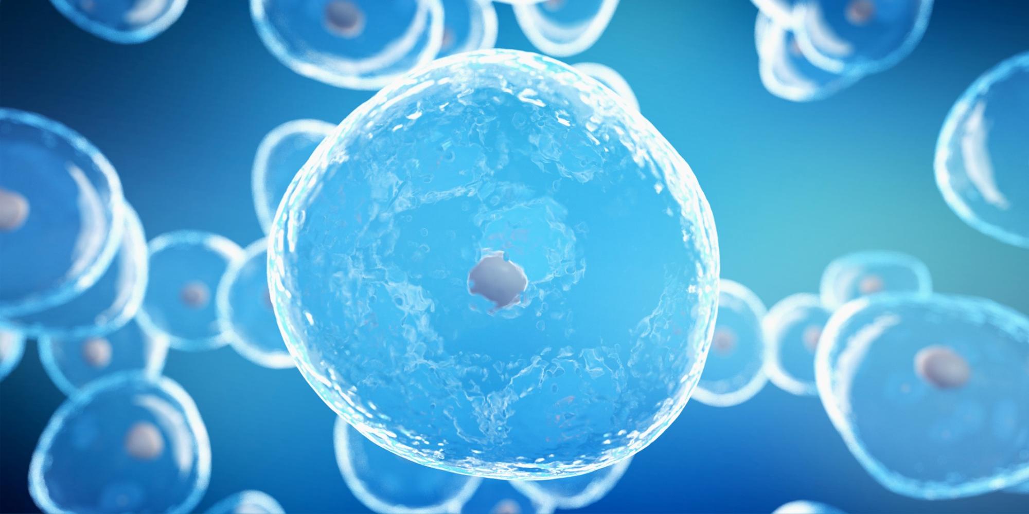 NCM 2022: NAb-seq: an accurate, rapid, and cost-effective method for ...