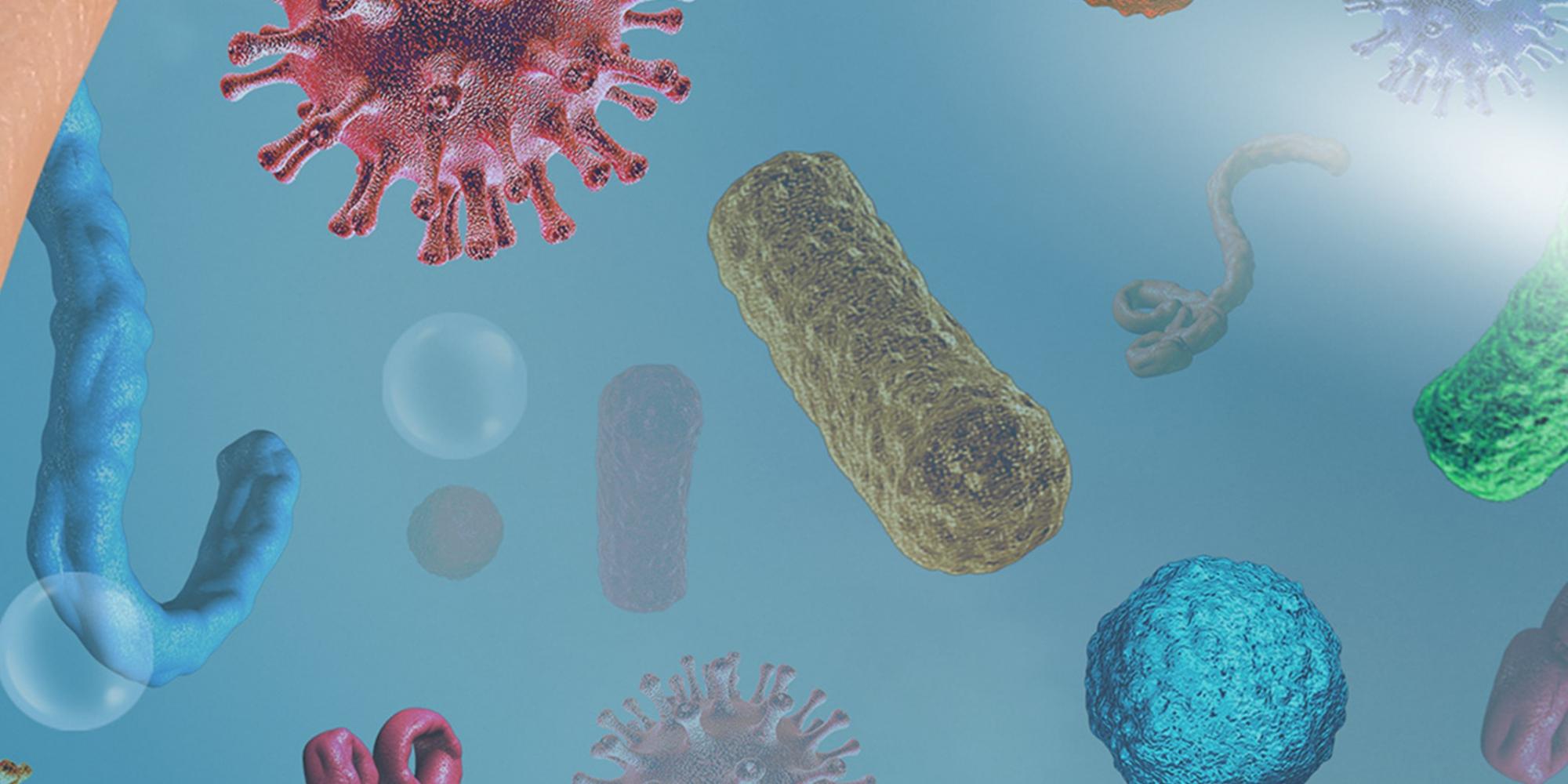 Using nanopore sequencing to screen for aquatic microbial hazards in ...