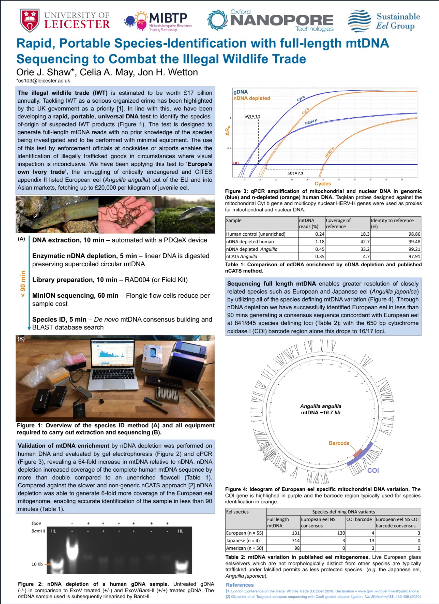 Rapid, Portable Species-Identification with full-length mtDNA ...