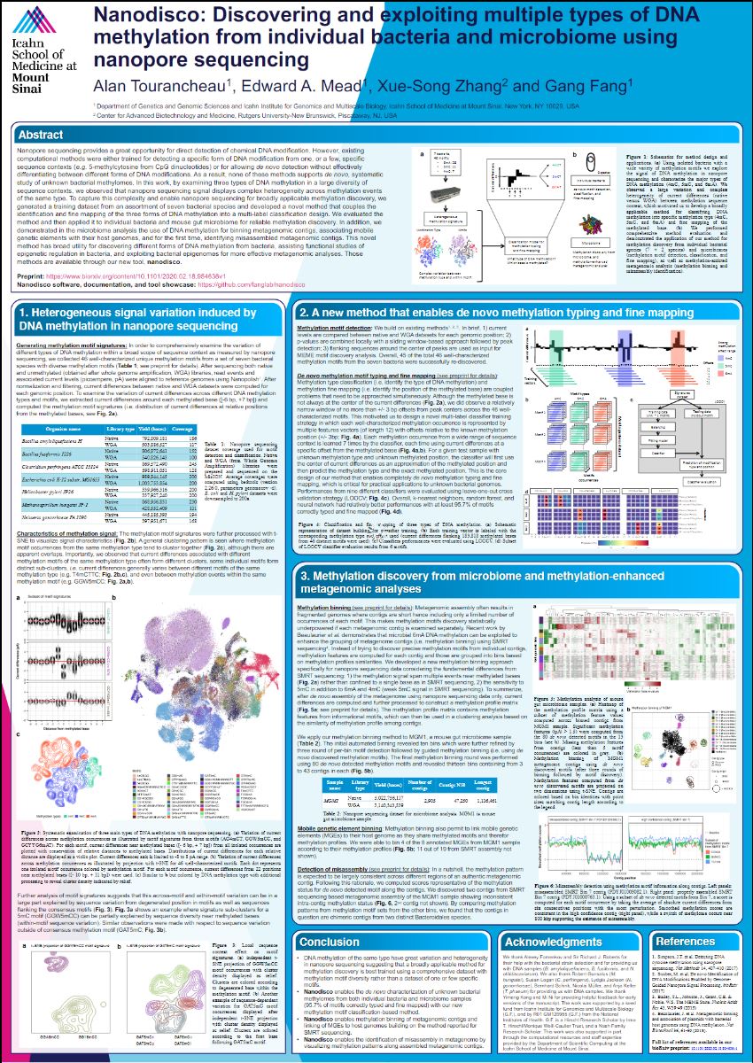 Nanodisco: Discovering and exploiting multiple types of DNA methylation ...