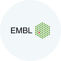 ONT Long Read Sequencing of Human HLA Genes