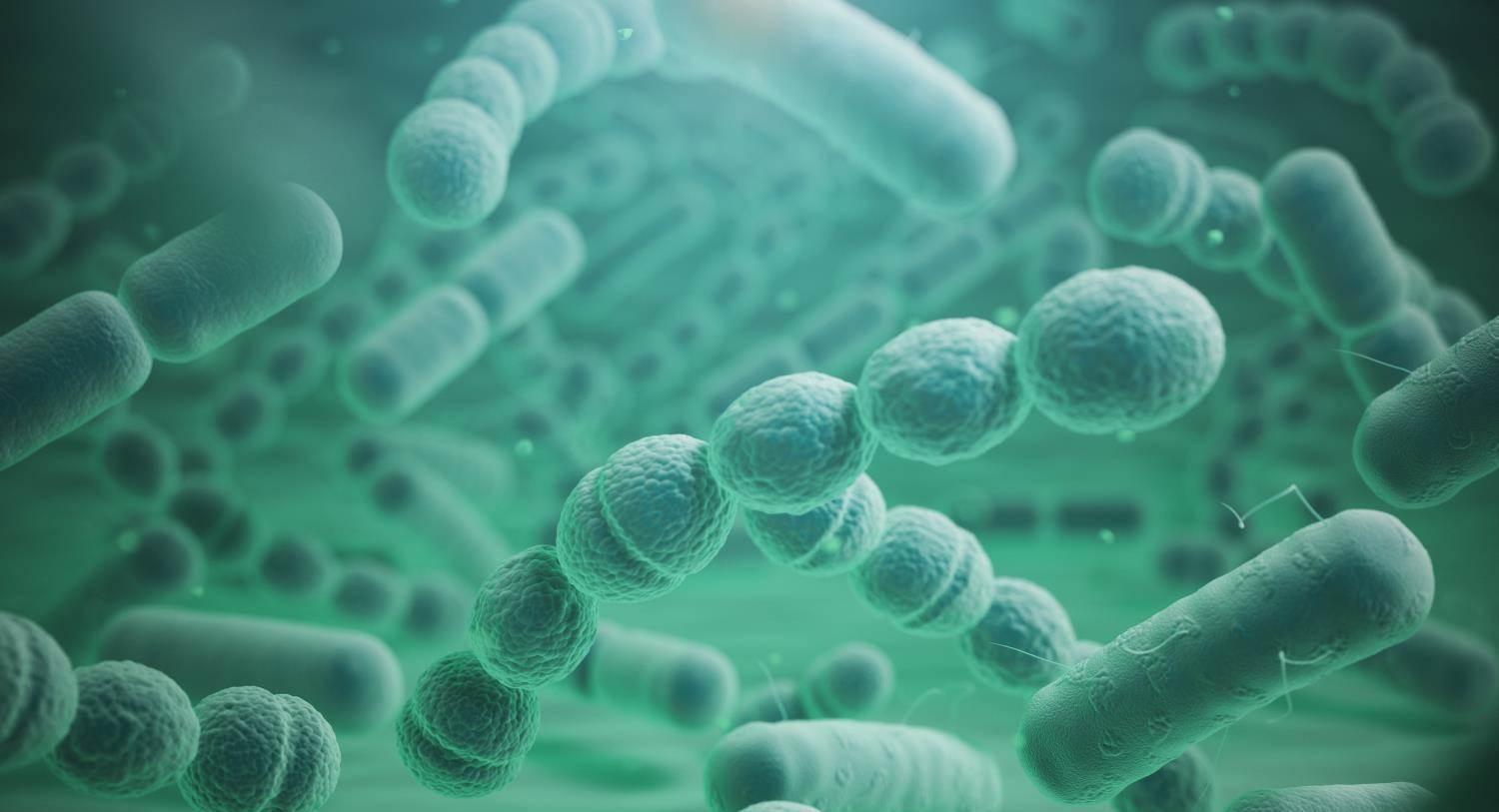 Resolving plasmid structures in Enterobacteriaceae using the MinION ...