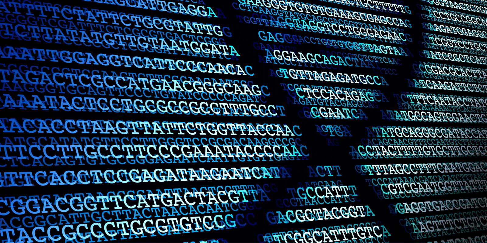 NCM 2021: Visualisation and analysis of nanopore RNA and DNA signal ...