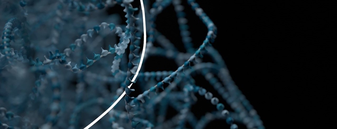 Genomic Structural Variations And Beyond