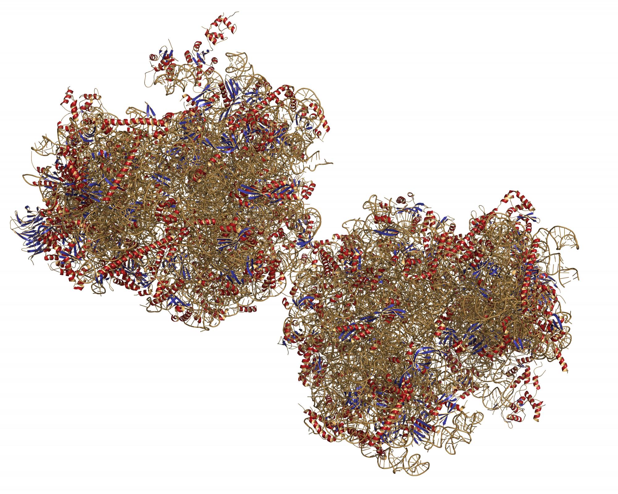 Quantitative profiling of native RNA modifications and their dynamics ...