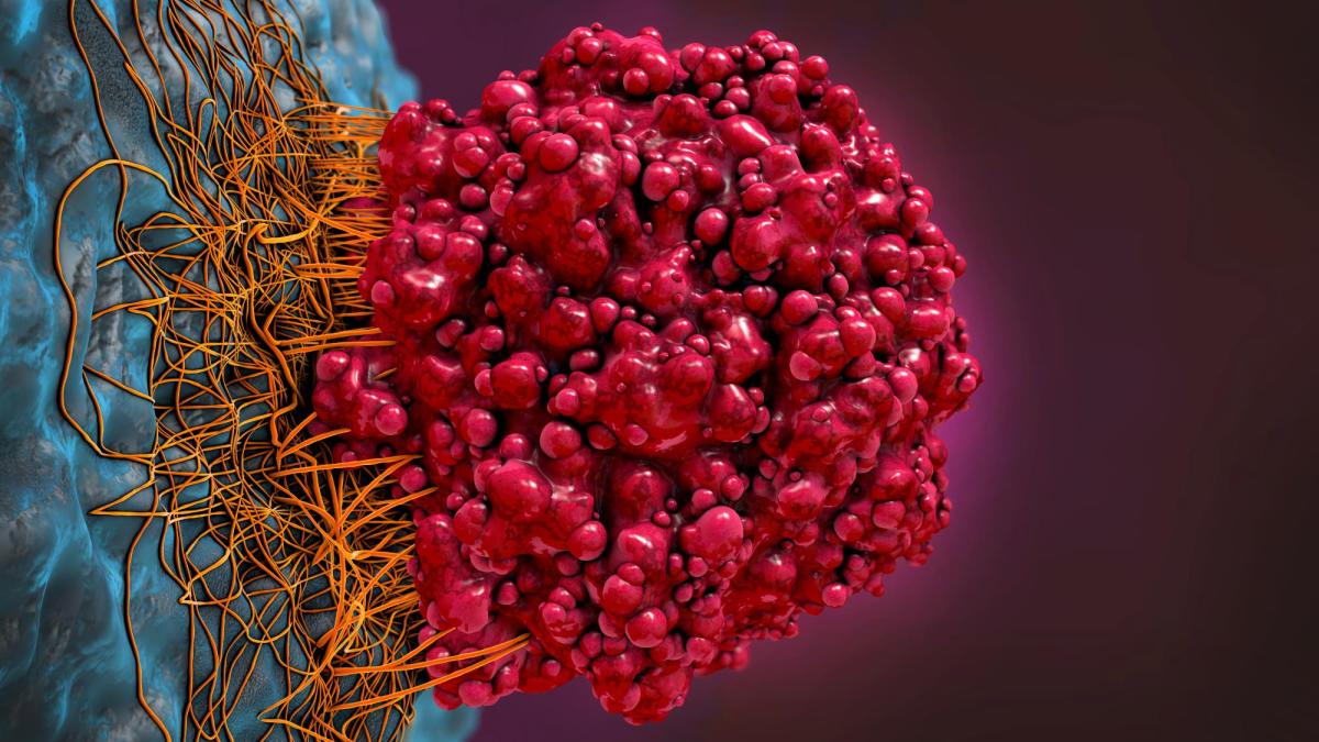 Identifying m6A RNA modifications in neuroblastoma cell lines