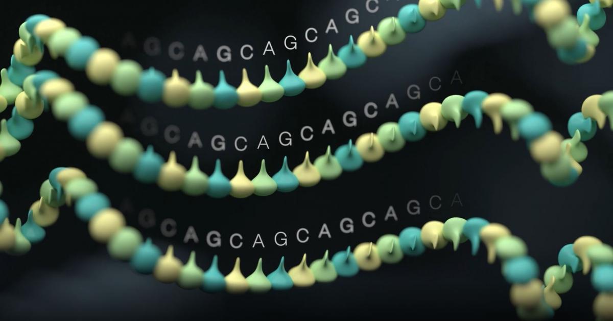 Poster: structural and epigenetic profiling of D4Z4 arrays in FSHD ...