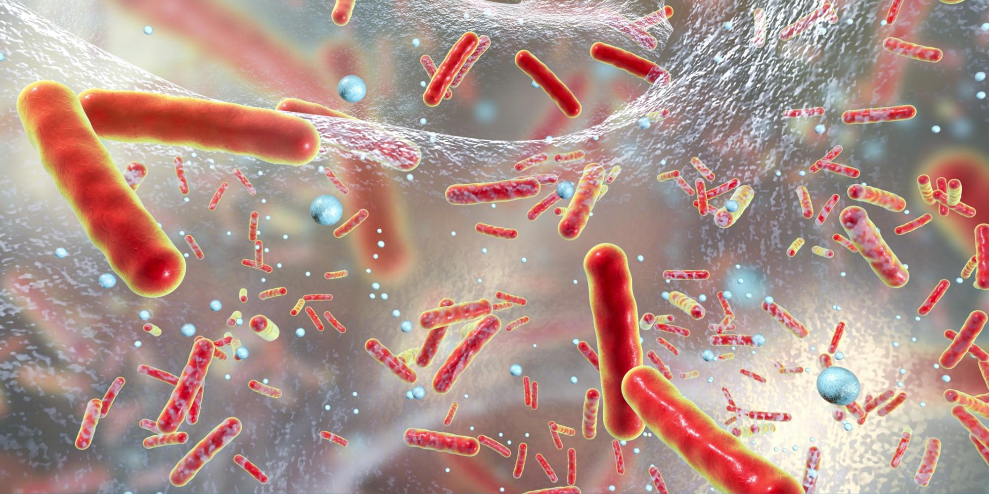 NCM 2022: Targeted deep metagenomics for the recovery of novel closed ...