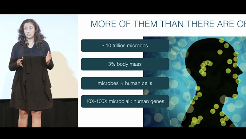 Ami Bhatt: Closing highly repetitive bacterial genomes from metagenomic ...