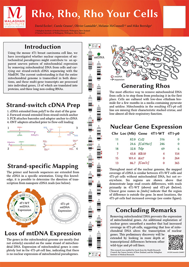 Rho, Rho, Rho Your Cells | Oxford Nanopore Technologies