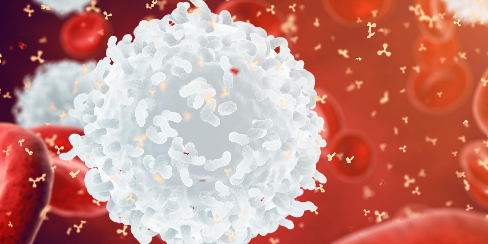 Hla Typing Using Targeted Third Generation Sequencing Methods