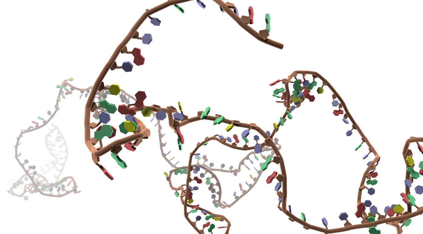 A novel method for the capture-based purification of whole viral native ...